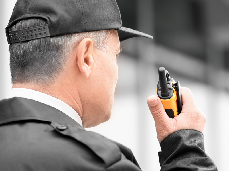 Inicio – Ral Security